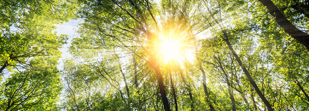 太阳辐射暴露试验。应用技术服务